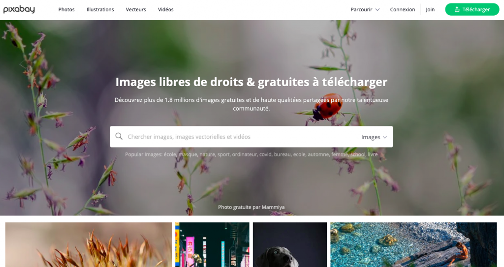 Top 5 des meilleures banques d'image gratuites & libre de droit